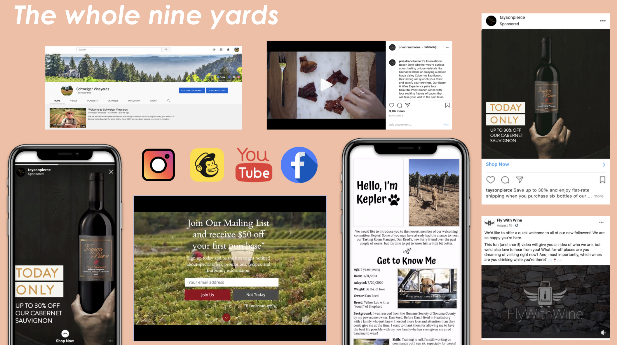 Top digital marketing ideas for the wine industry